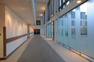 CRASH RAILS - BUMP RAILS: Acrovyn, Stainless Steel, Rubber, Wood